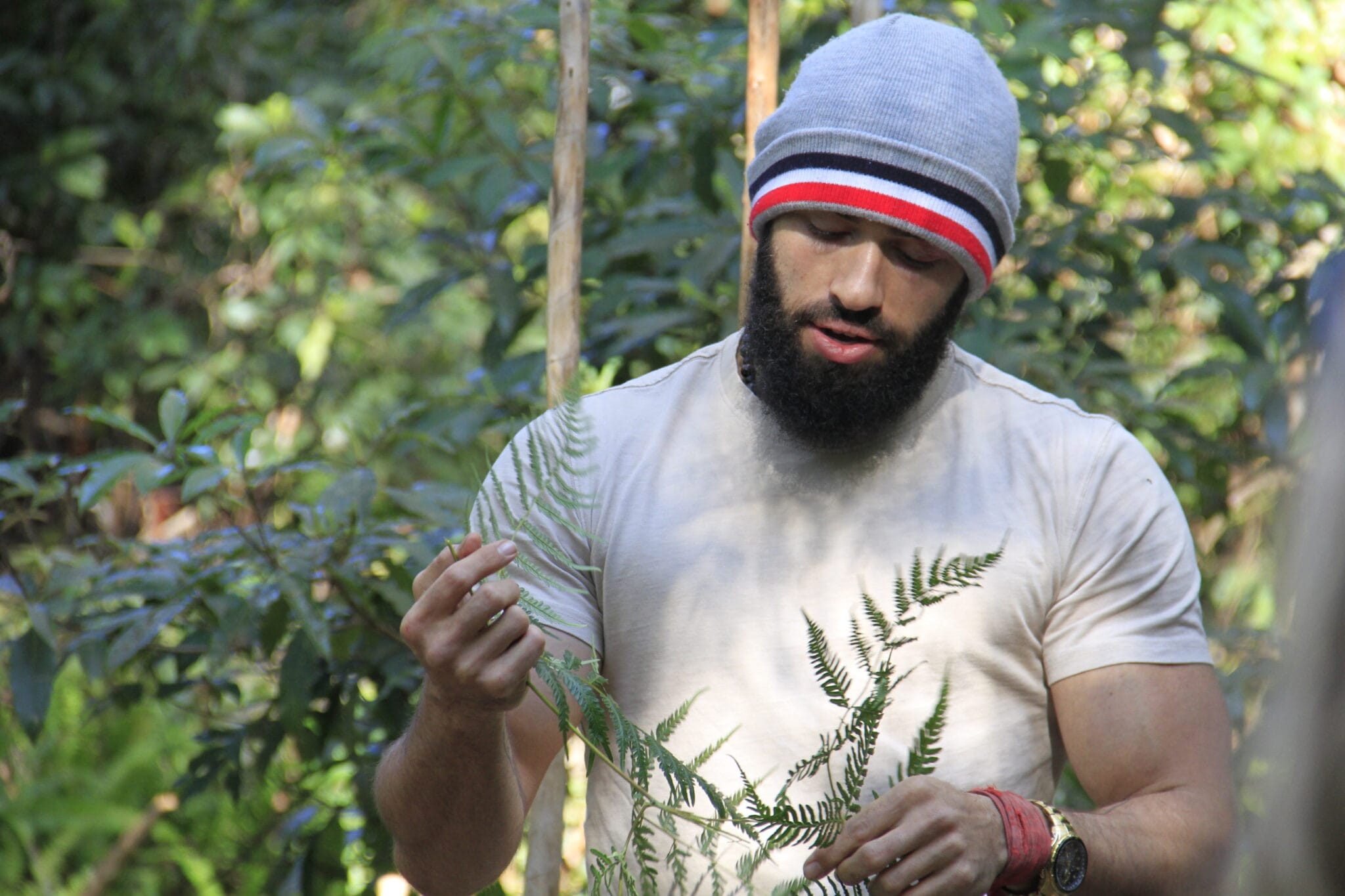 Cultural Burning: A Path to Resilience and Land Restoration ...